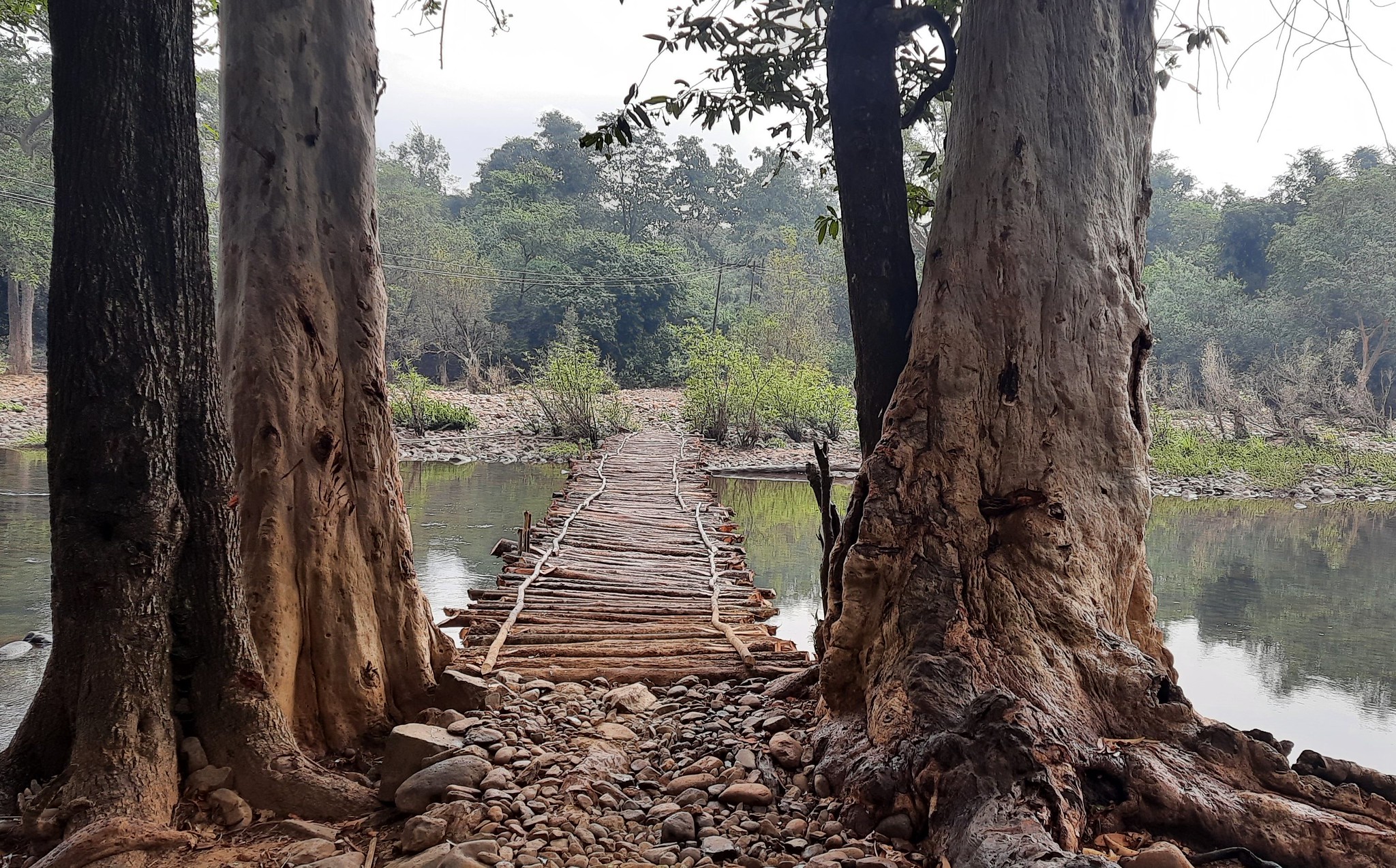 A few days in Naxal-dominated Bhamragad or the story of 70 years of ...