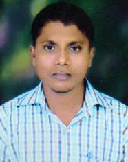 Individual-centered Elections are Dangerous for Democracy – Round Table ...